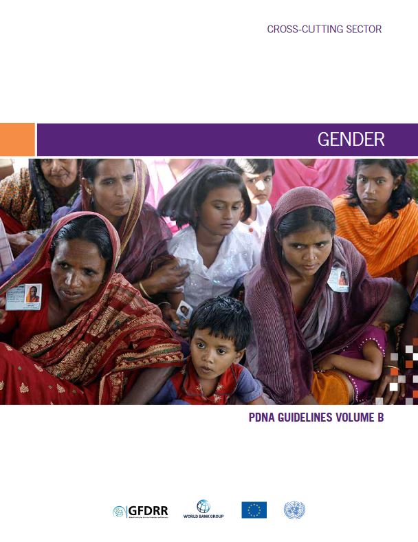 Post Disaster Needs Assessment PDNA Guidelines Volume B Gender